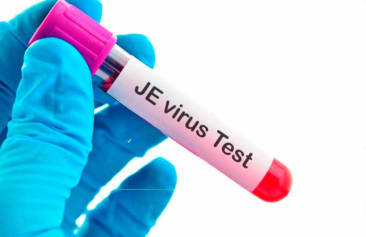 Japanese Encephalitis – Mosquito Solution Indonesia